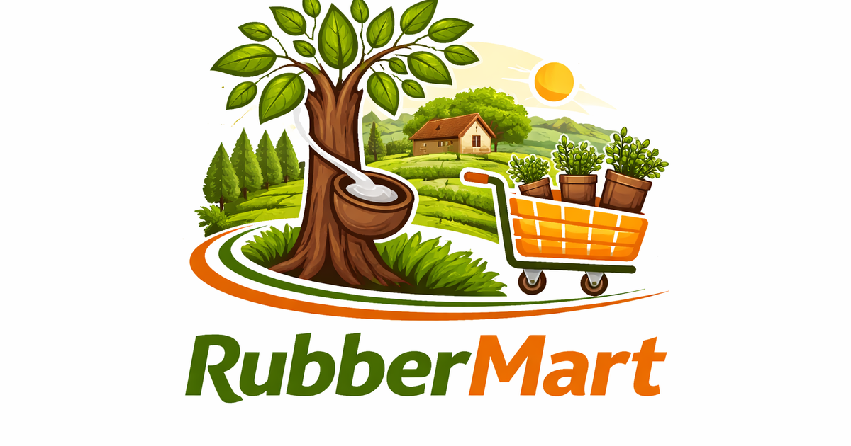 ชาวสวนยาง — ตลาดกลางกล้ายางพาราออนไลน์ | ซื้อขายกล้ายาง ราคาถูก ทั่วไทย